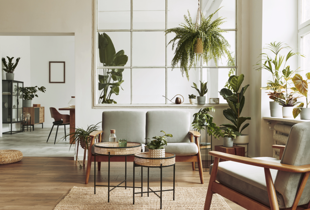 Wow Your Guests: 5-Star Hotel Design on a Budget 2024